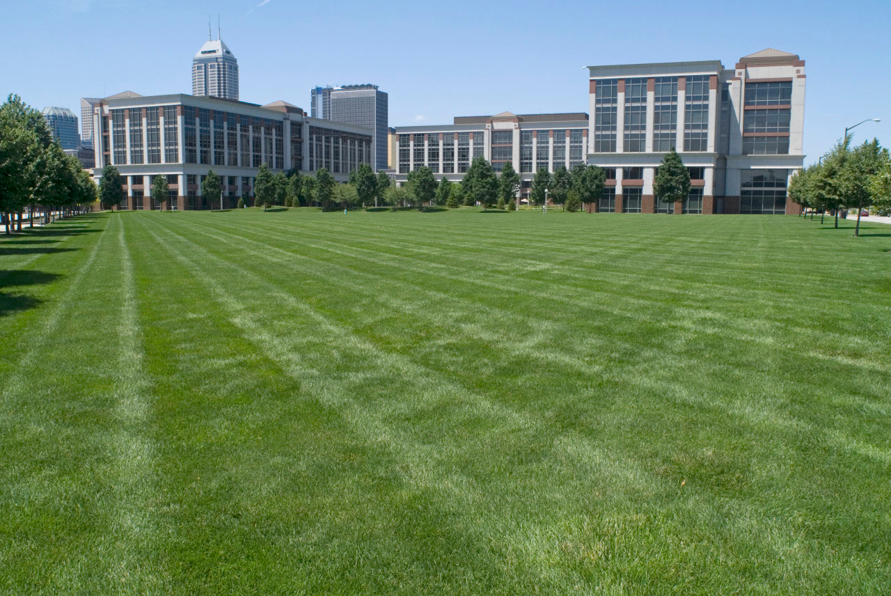 Engledow Group, 1100 E 116th St, Carmel, IN - MapQuest