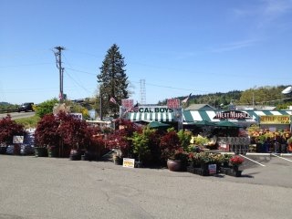 Wauna, WA Map & Directions - MapQuest